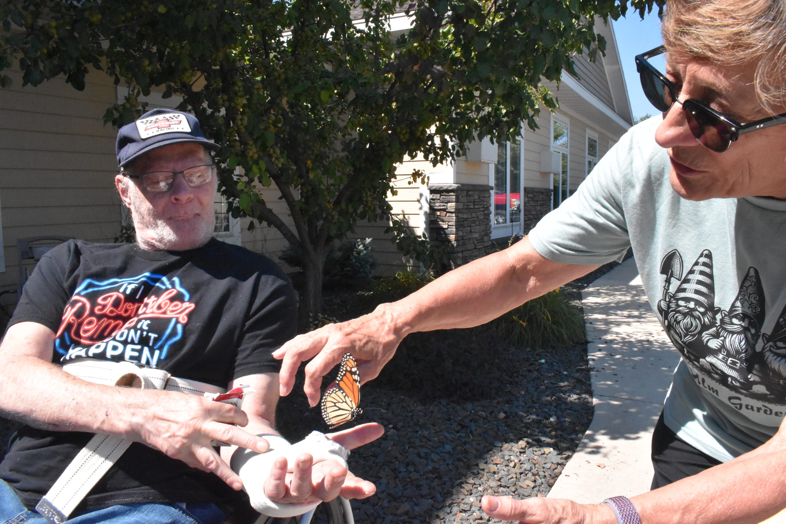 Releasing the Monarchs | News, Sports, Jobs - The Journal